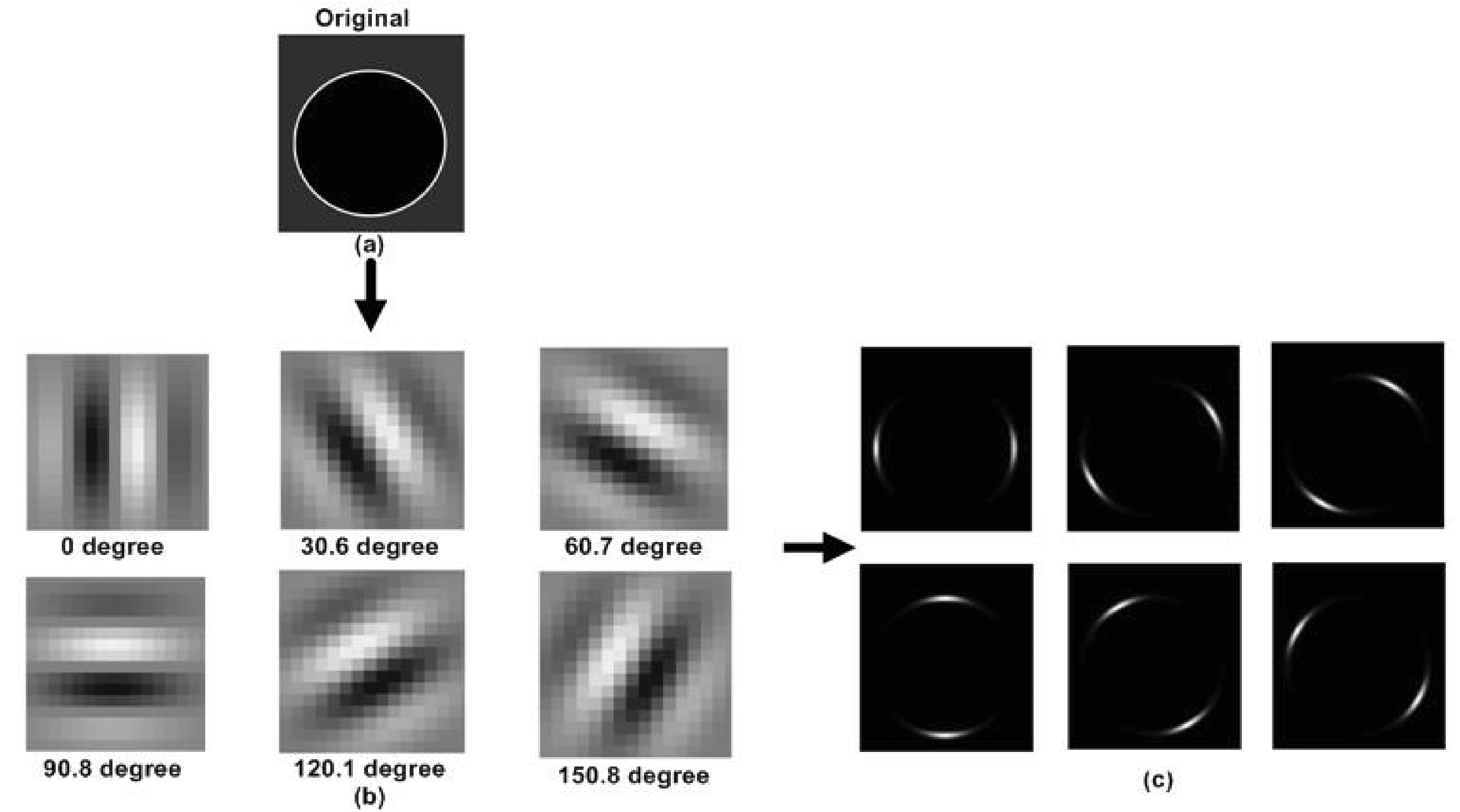 Gabor Function Vs Edge Detectors Outlet | emergencydentistry.com