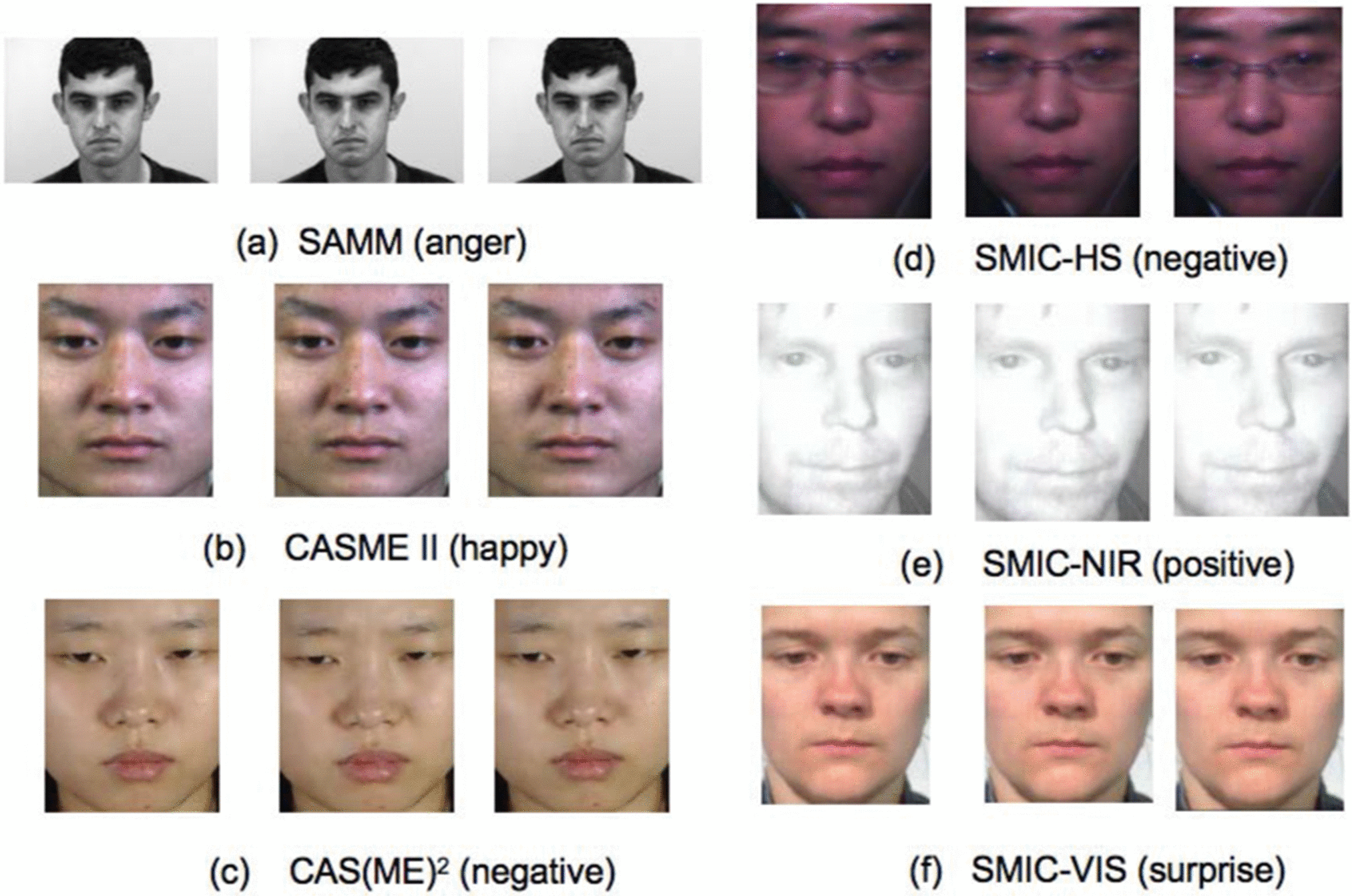 Microscopic Facial Expressions