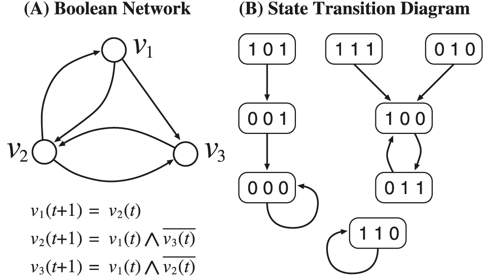 GitHub - MultiscaleProject/LivingSystems: Mathematical models for ...