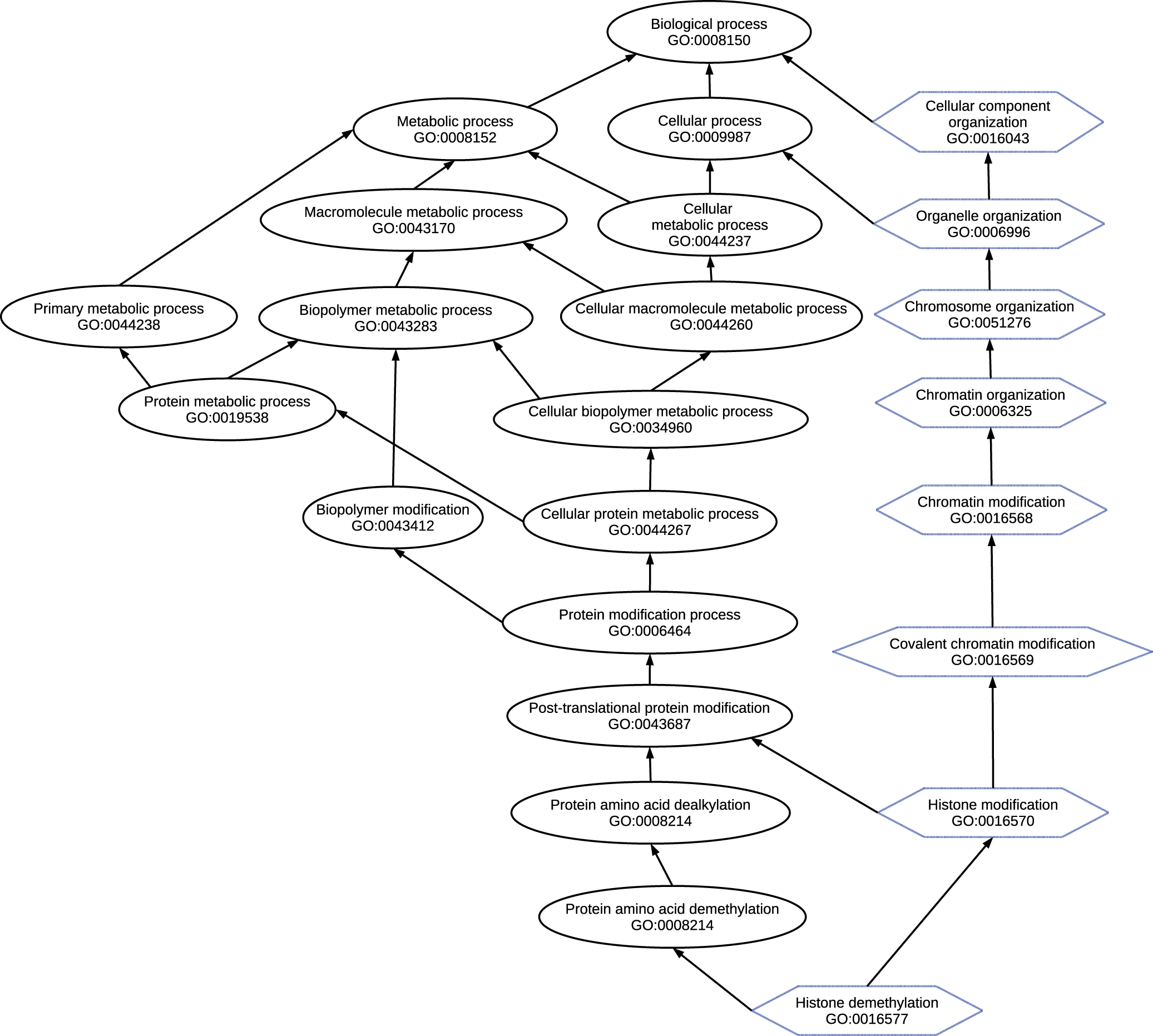 Macromolecules Flowchart