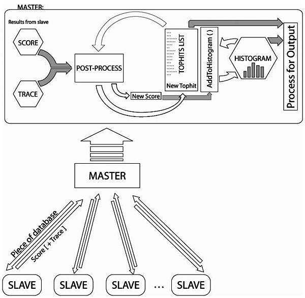Parallel Implementation