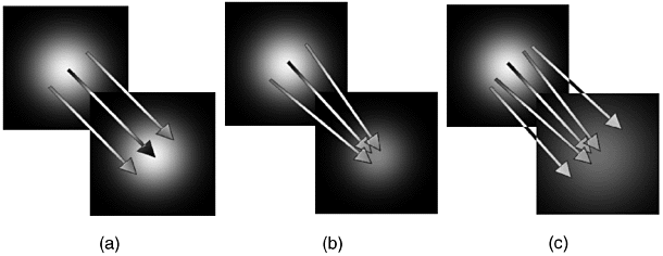 Brightness Constancy