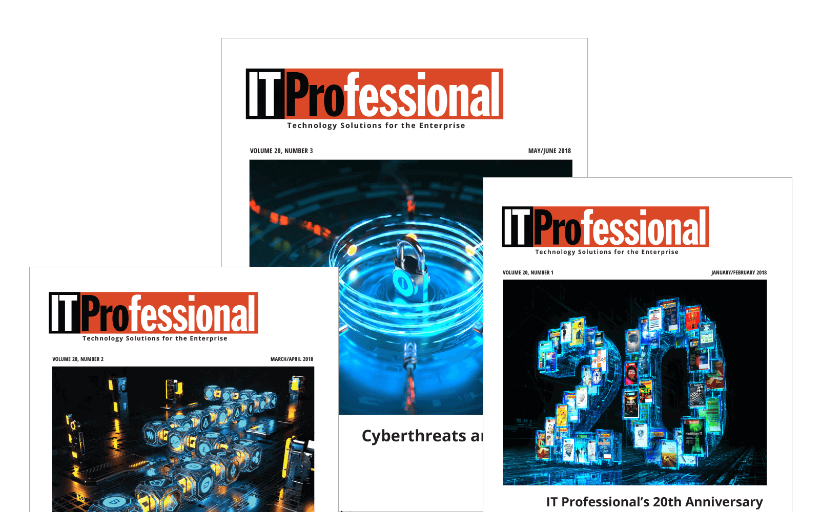 IT Professional - Table of Contents